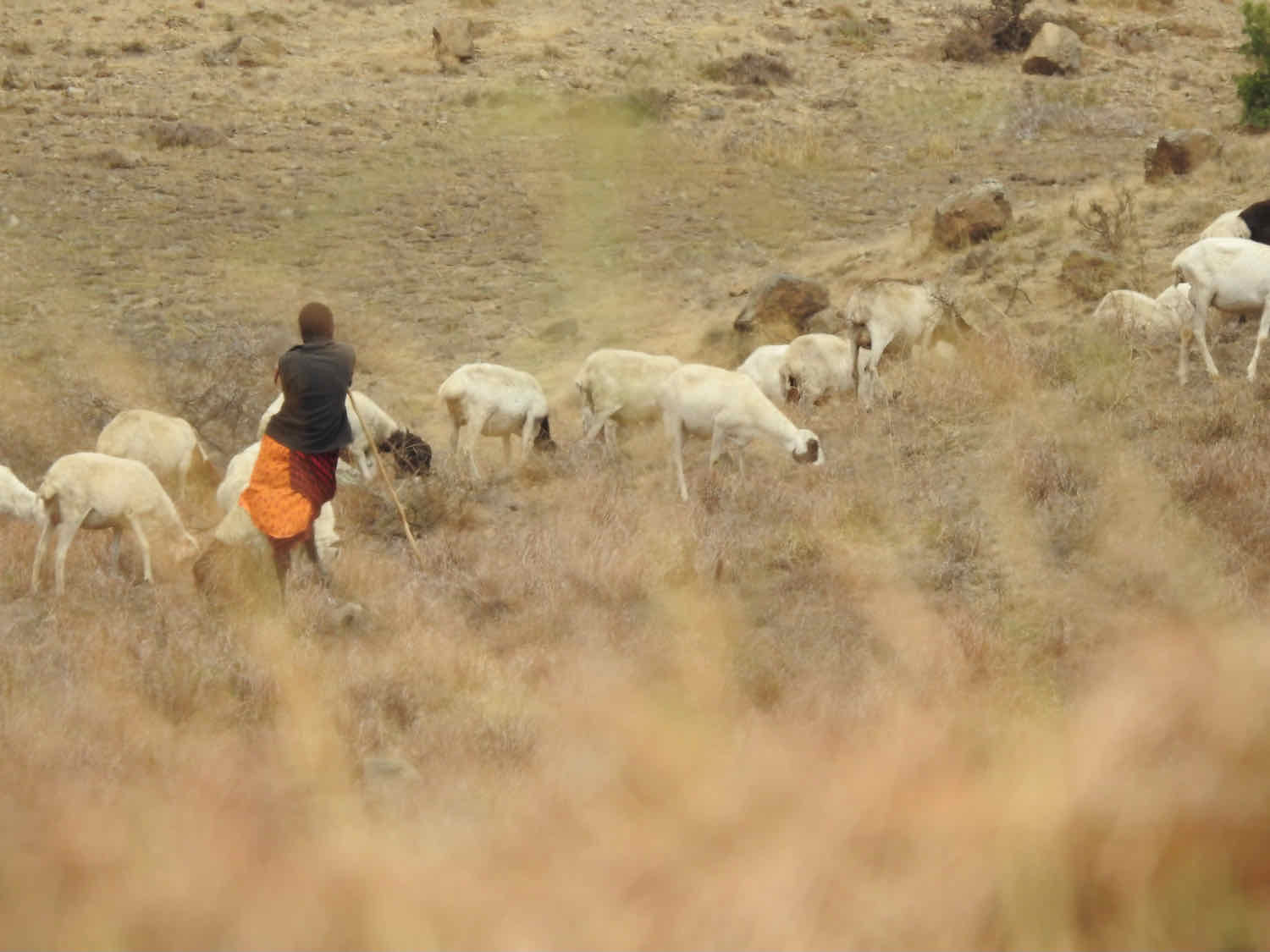 Some unforgettable parks and tribes - Maasai Hero Safaris