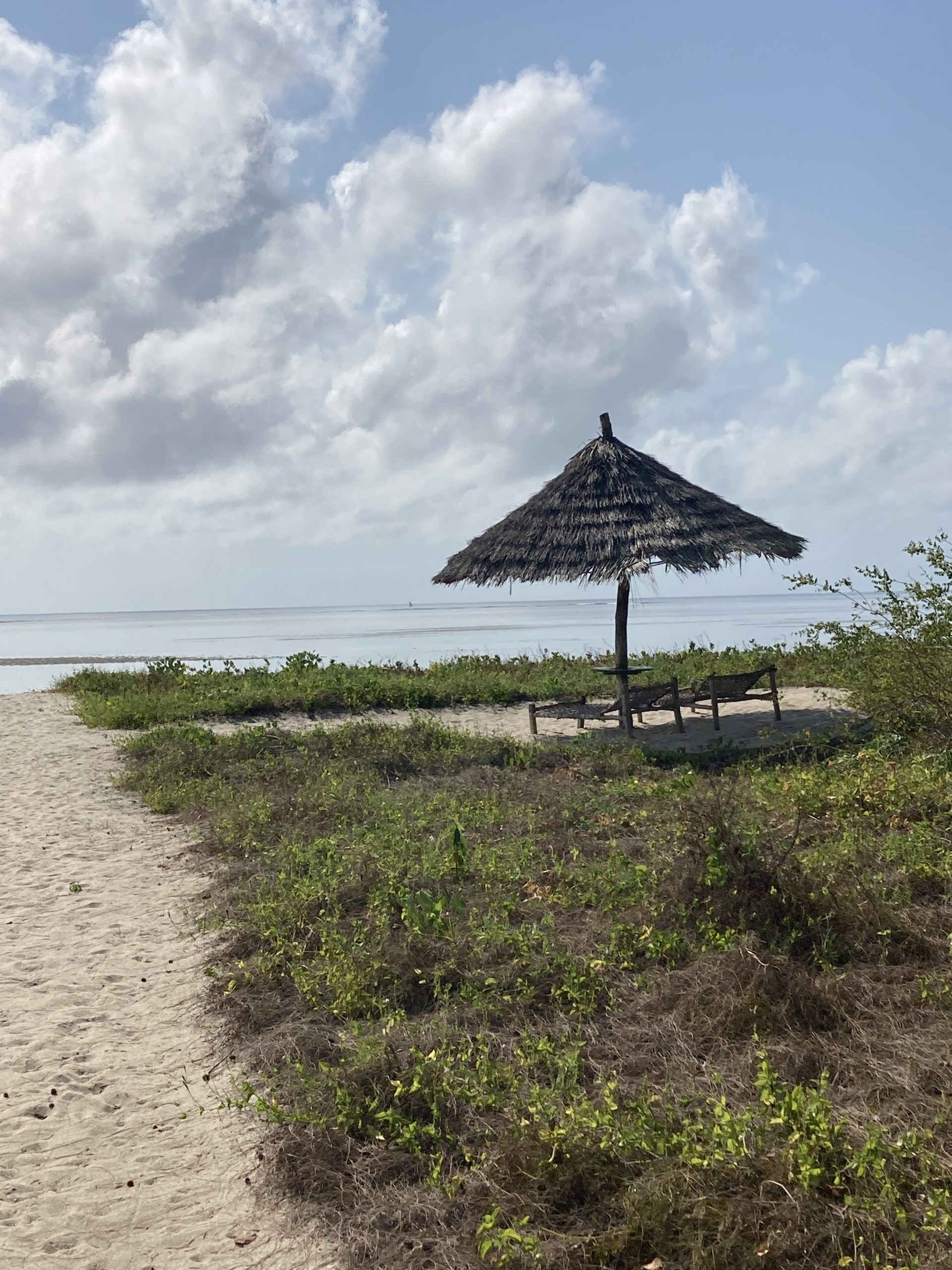 Pangani - Maasai Hero Safaris